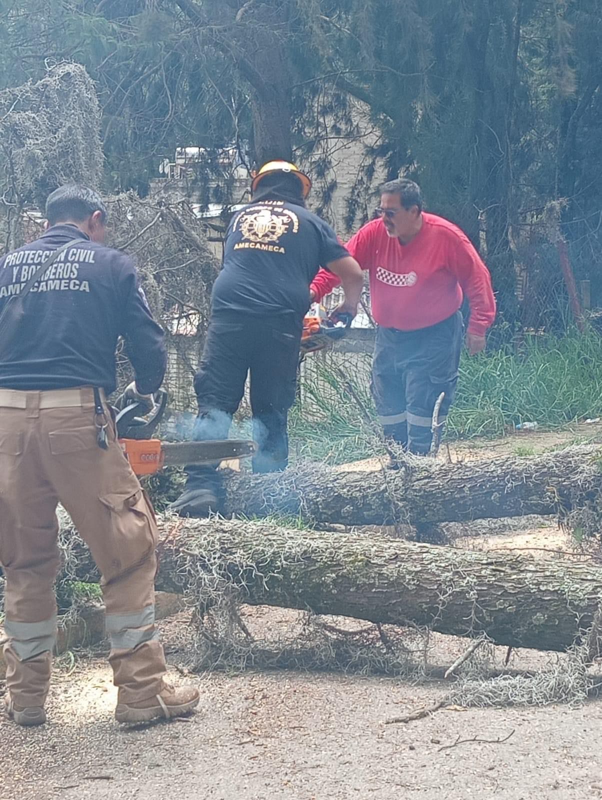 COMUNICADO DE PRENSA 063/2024 | H. Ayuntamiento Amecameca